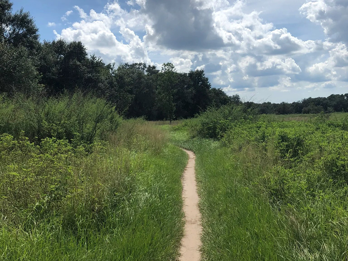 alafia river state park 1
