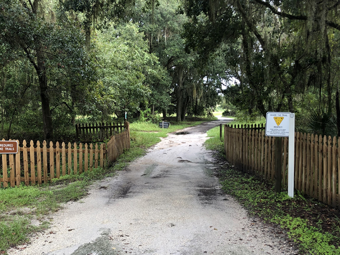 alafia river state park 2