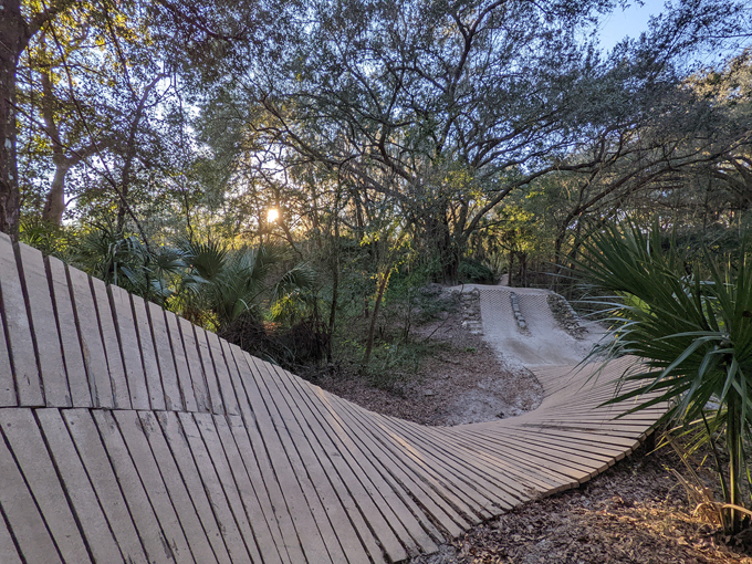 alafia river state park 5