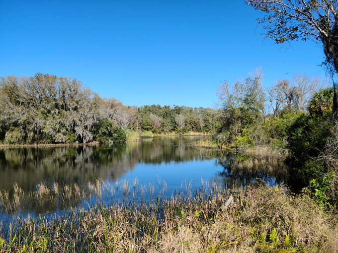 alafia river state park 7