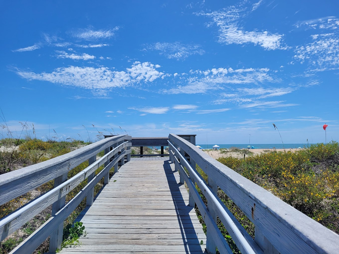 anastasia state park 1