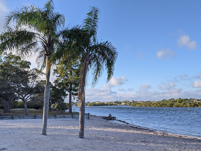 anclote river park 7