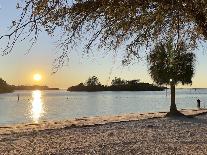 anclote river park 9