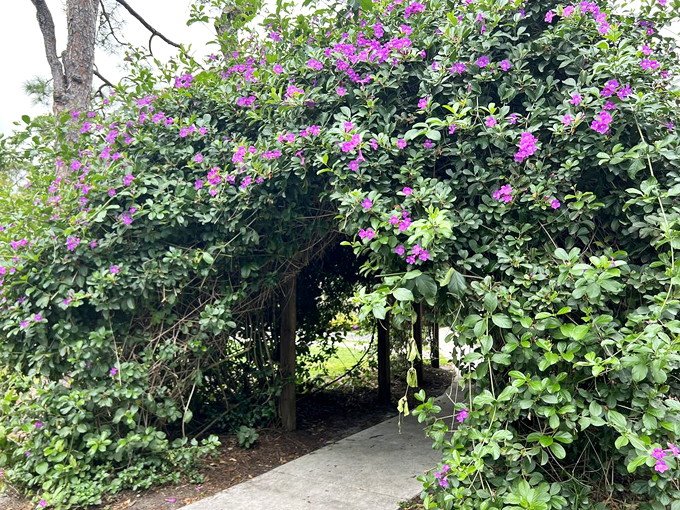 arboretum at constitution park 5