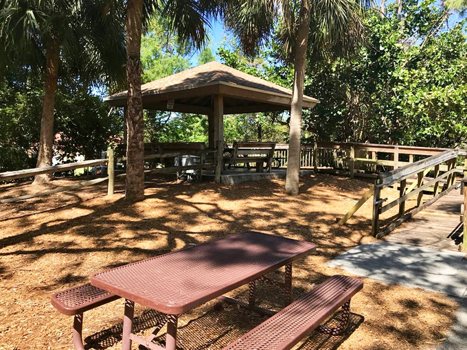 arboretum at constitution park 6