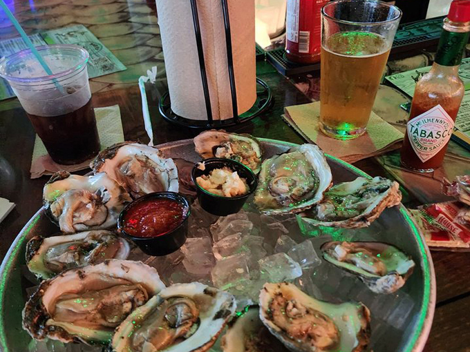 bar fly safety harbor 9