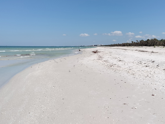 barefoot beach preserve bonita springs