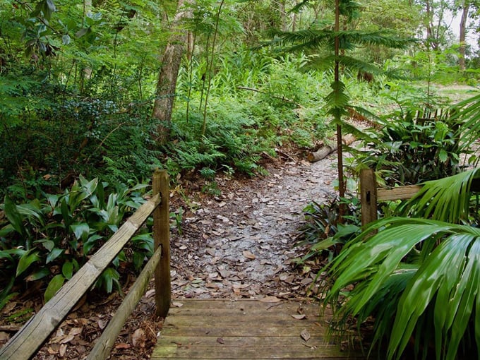 beluthahatchee park 2