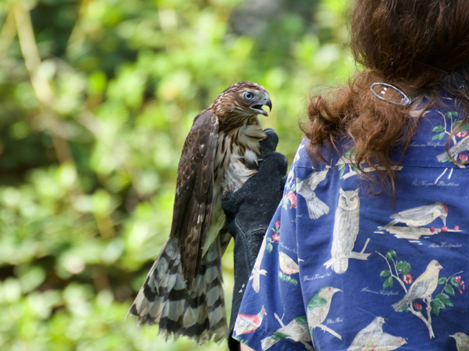 beluthahatchee park 6