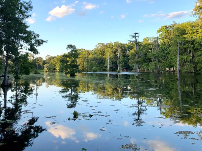 beluthahatchee park 7