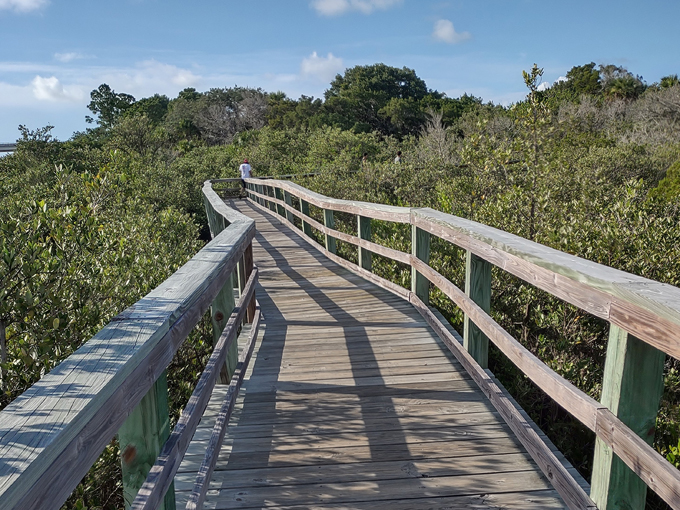 betty steflik preserve 1