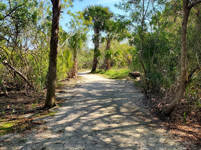 betty steflik preserve 2