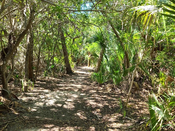 betty steflik preserve 3