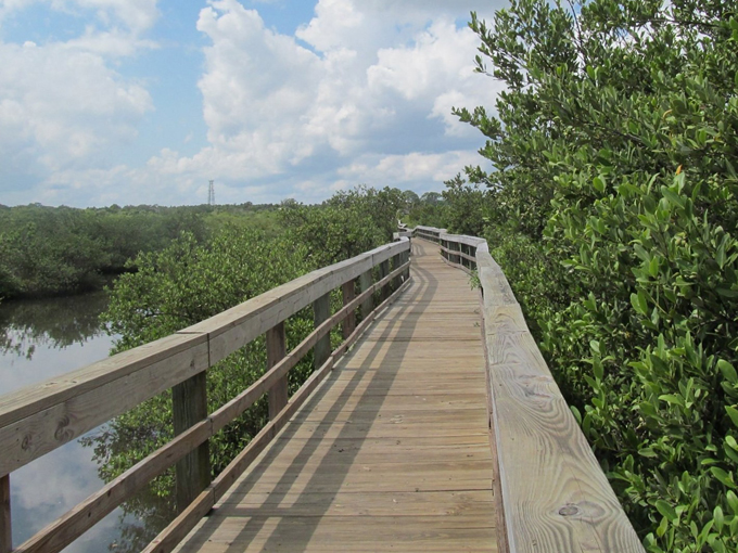 betty steflik preserve 4