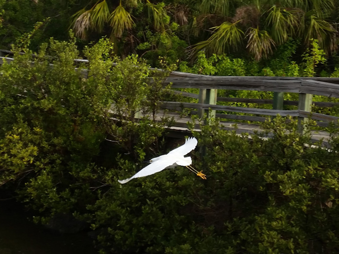 betty steflik preserve 5