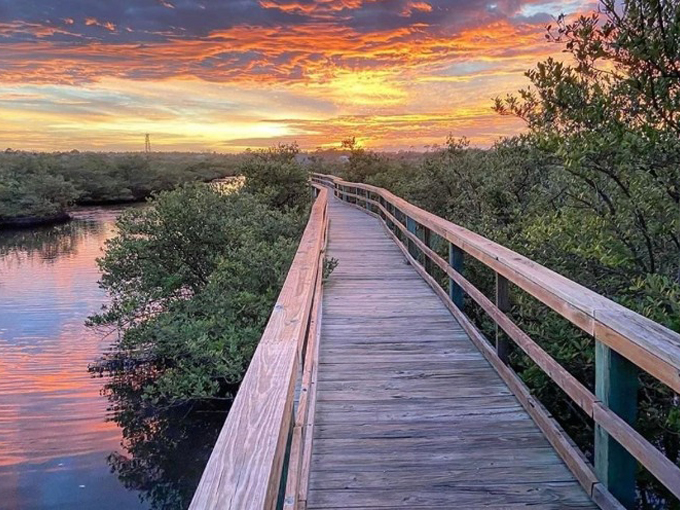 betty steflik preserve 8