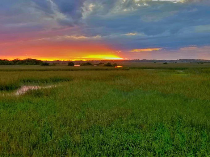 betty steflik preserve 9