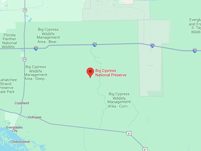 big cypress national preserve 10 map