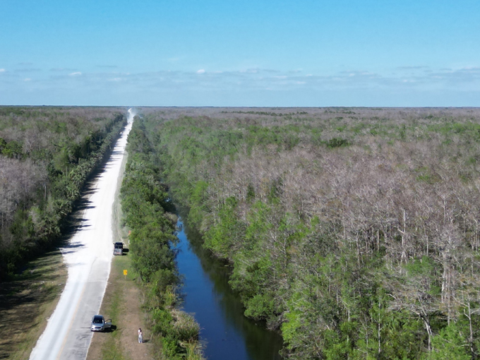 big cypress national preserve 2