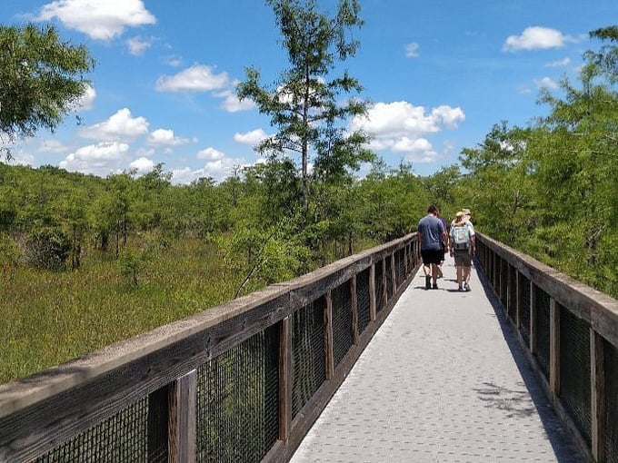 big cypress national preserve 7