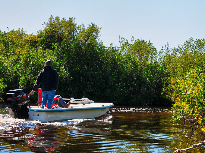 big cypress national preserve 8