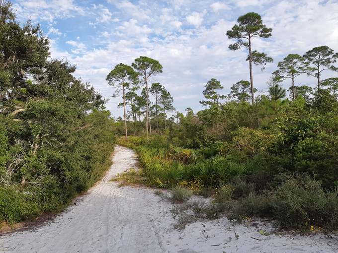 big lagoon state park 4