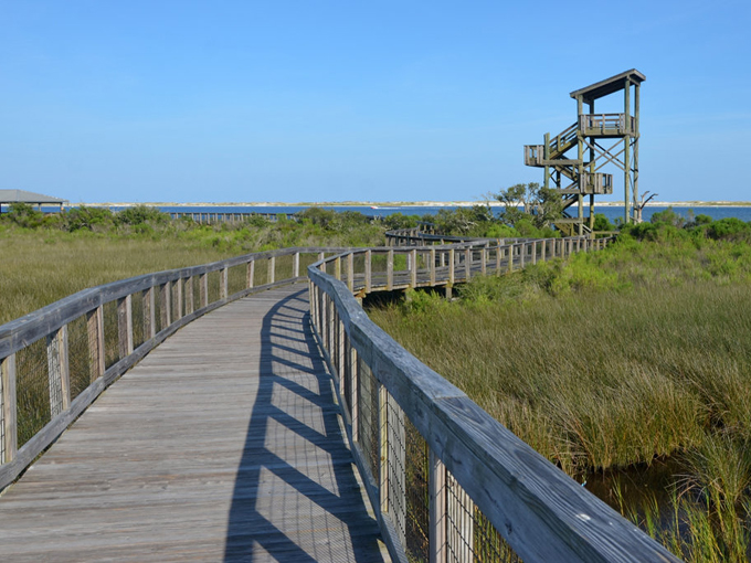 big lagoon state park 6