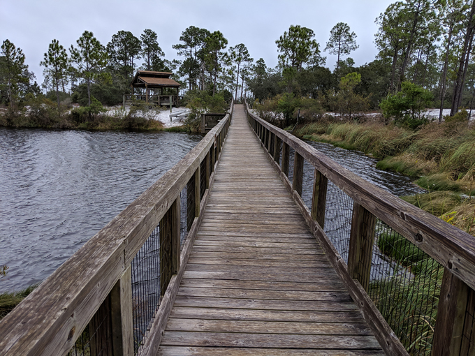 big lagoon state park 7