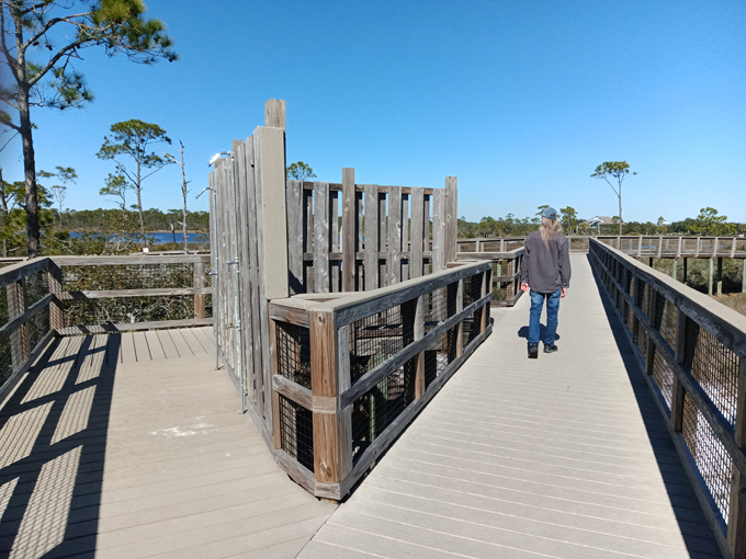 big lagoon state park 8