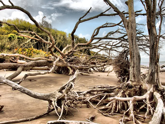 Boneyard Beach 1