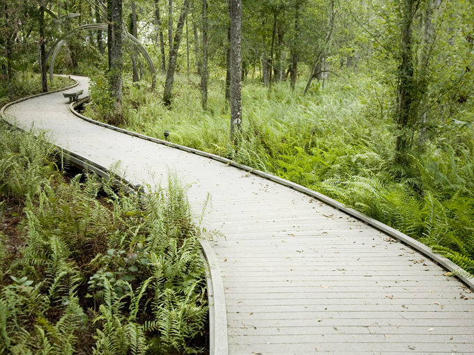brooker creek headwaters nature preserve 6