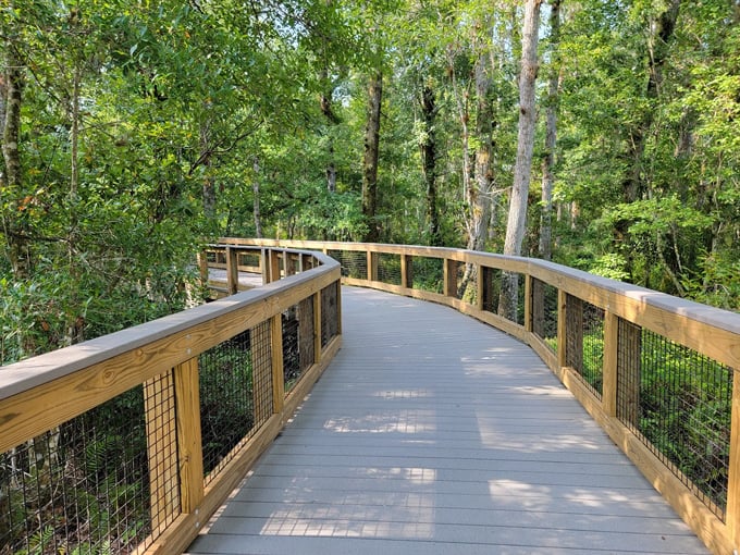 brooker creek preserve 1