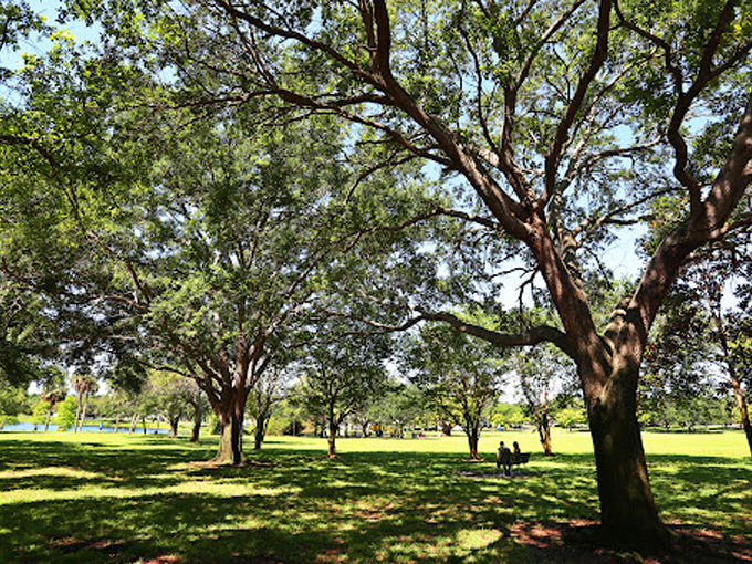 brooker creek preserve 3