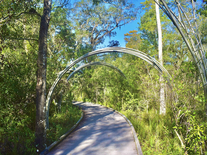 brooker creek preserve 4
