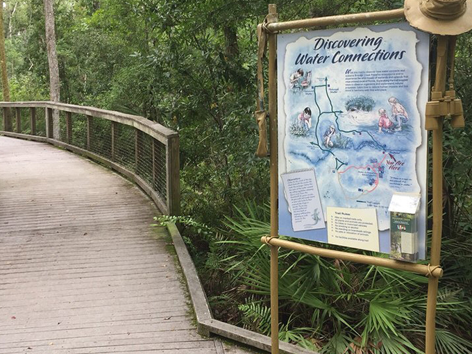 brooker creek preserve 5