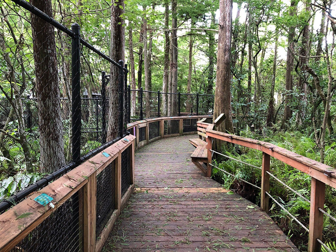 busch wildlife sanctuary 2