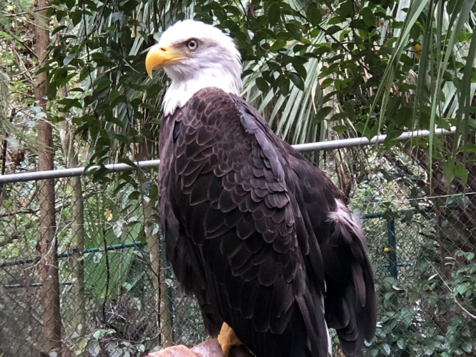 busch wildlife sanctuary 5