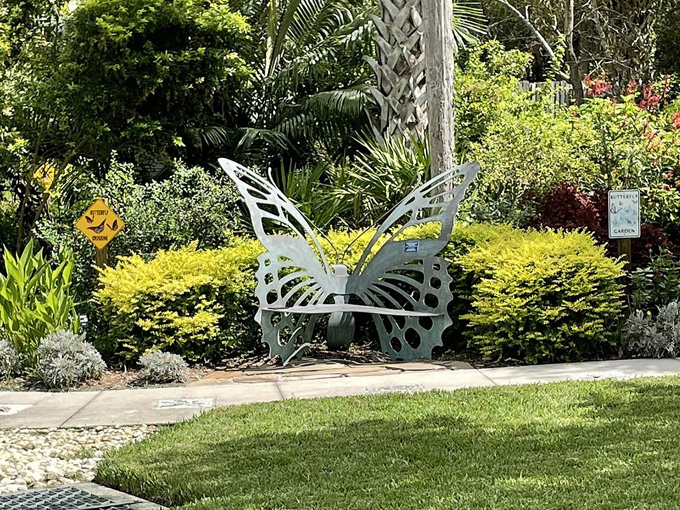 butterfly garden at the florida botanical gardens 9
