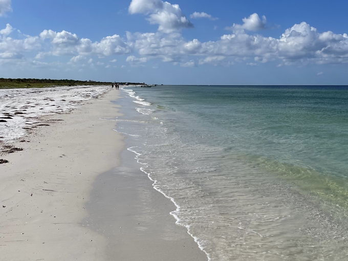 caladesi island 3