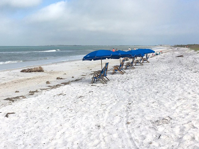 caladesi island 8
