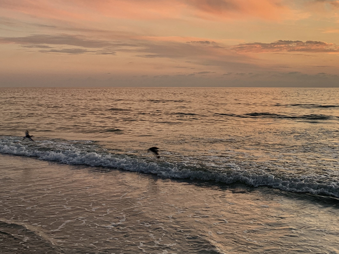 caladesi island 9
