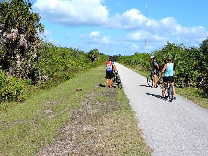 cape haze pioneer trail 2