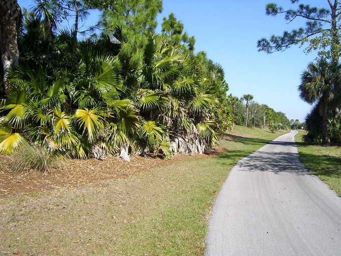 cape haze pioneer trail 3