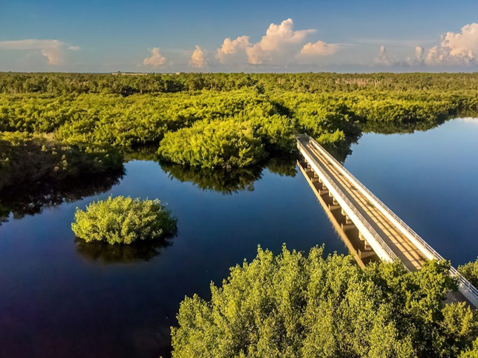 cape haze pioneer trail 7