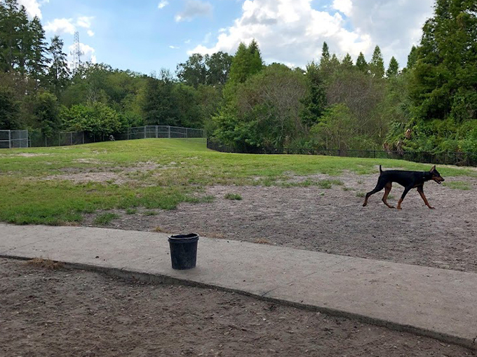 carolyn meeker dog park nature trail 2