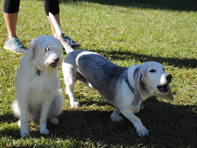 carolyn meeker dog park nature trail 3