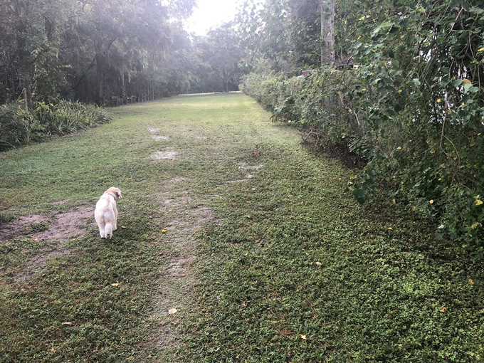 carolyn meeker dog park nature trail 6