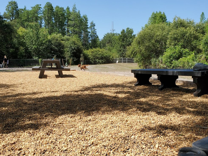 carolyn meeker dog park nature trail 7