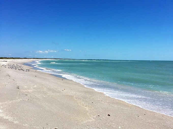 cayo costa state park 3 1