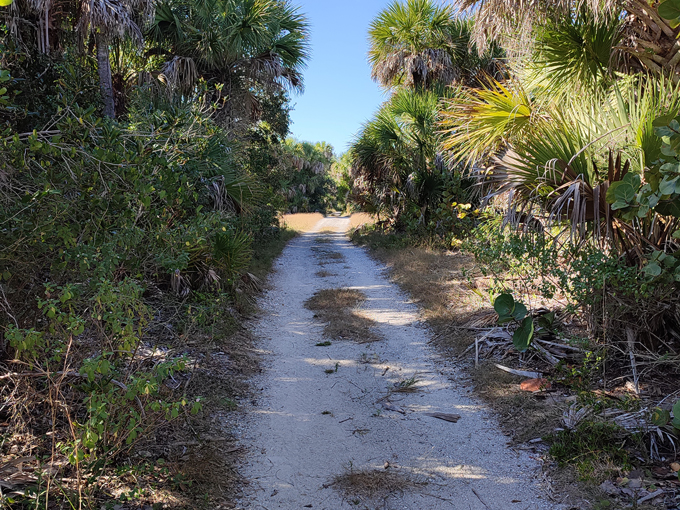 cayo costa state park 4